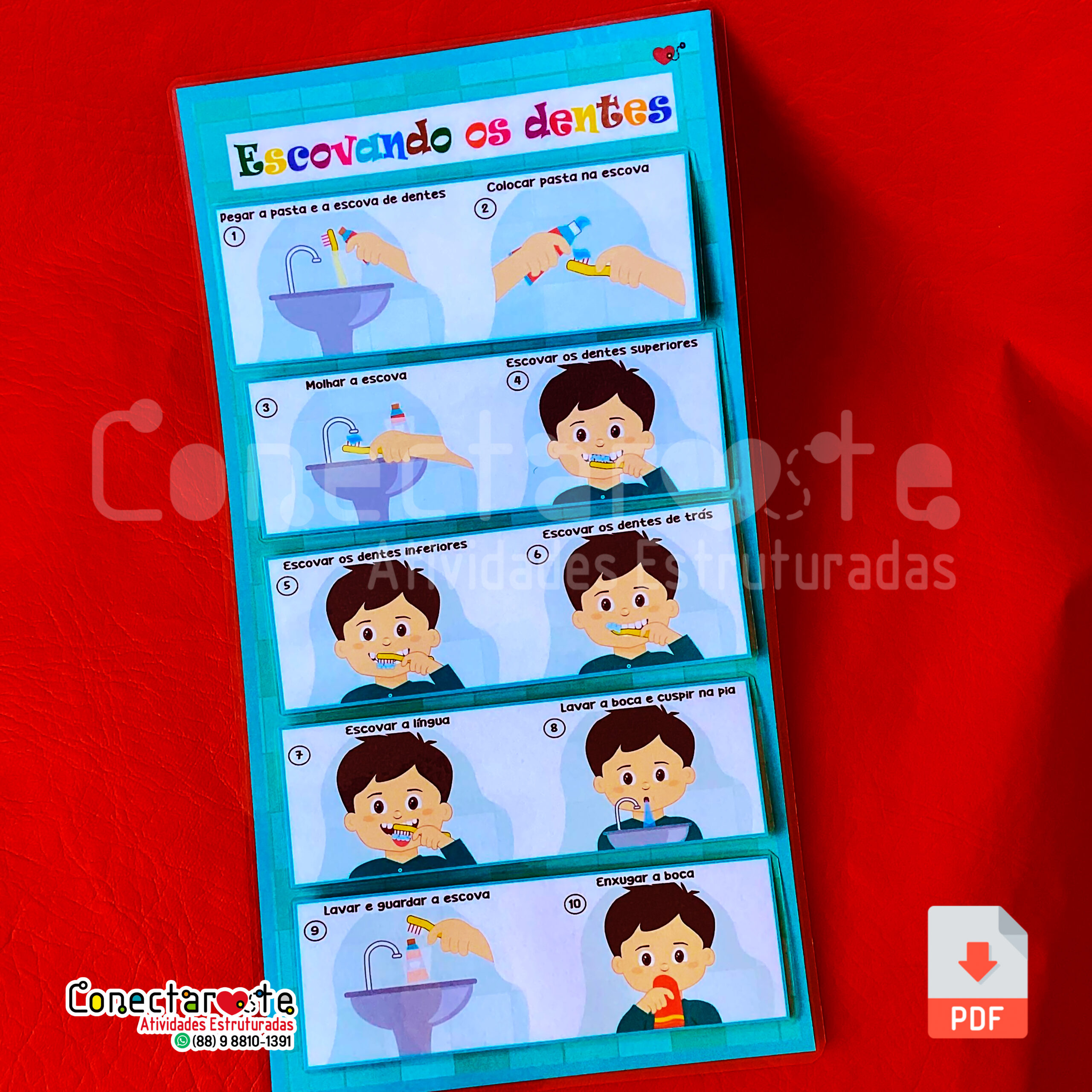 Escovando Os Dentes PDF Conectar te Atividades